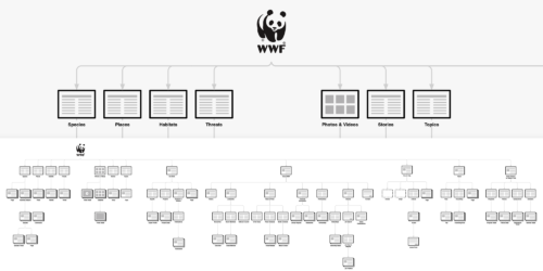 World Wildlife Fund - WorldWildlife.org | Viget