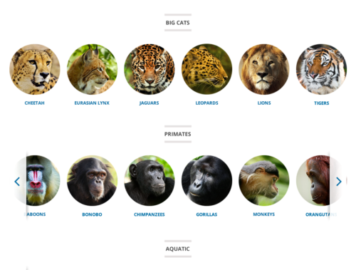 World Wildlife Fund - WorldWildlife.org | Viget