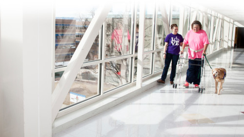 Craig Hospital - CraigHospital.org | Viget