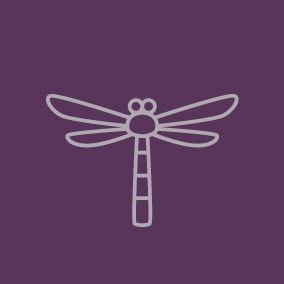 The Right Way to Store and Serve Dragonfly Thumbnails | Viget