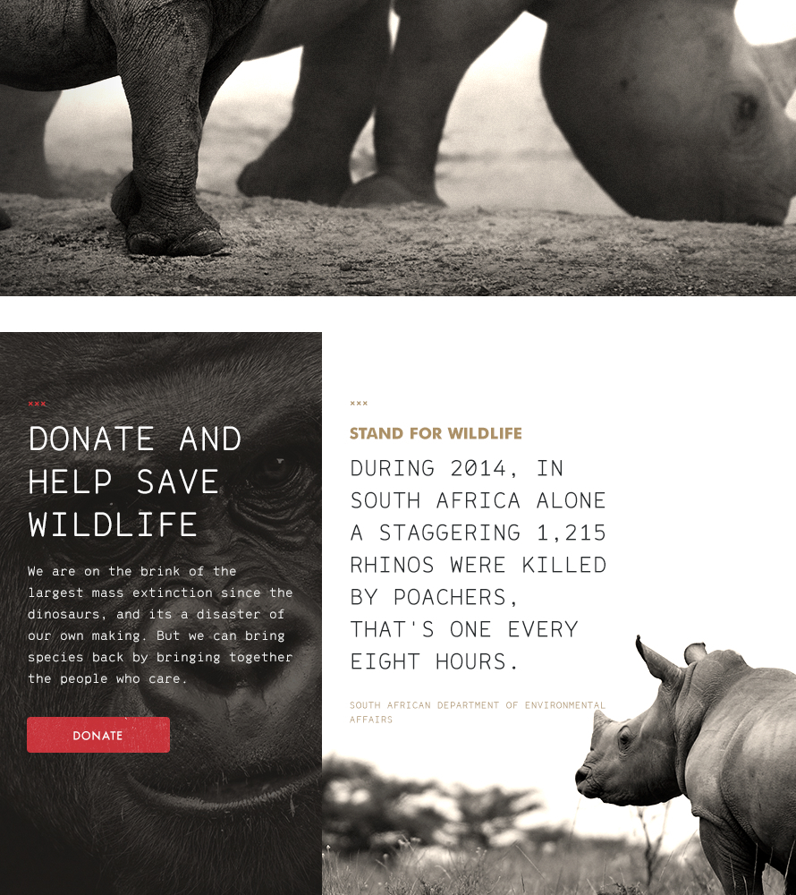 Wildlife Conservation Society - WCS.org | Viget