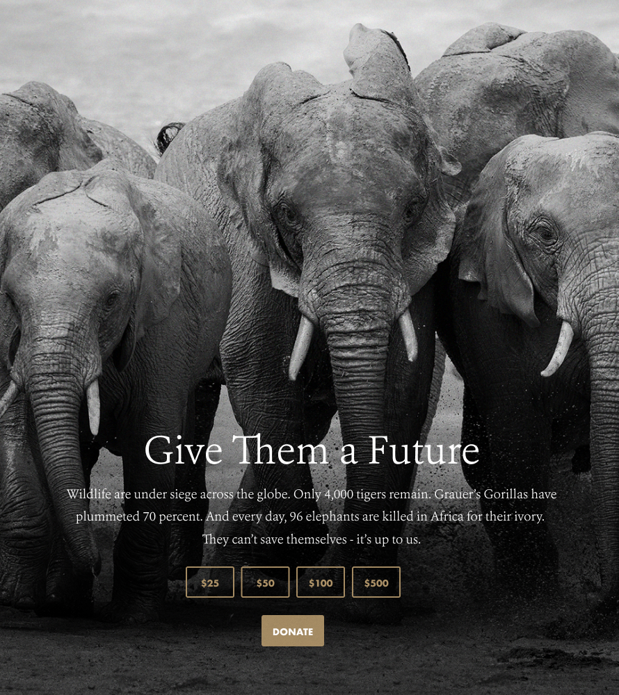 Wildlife Conservation Society - WCS.org | Viget