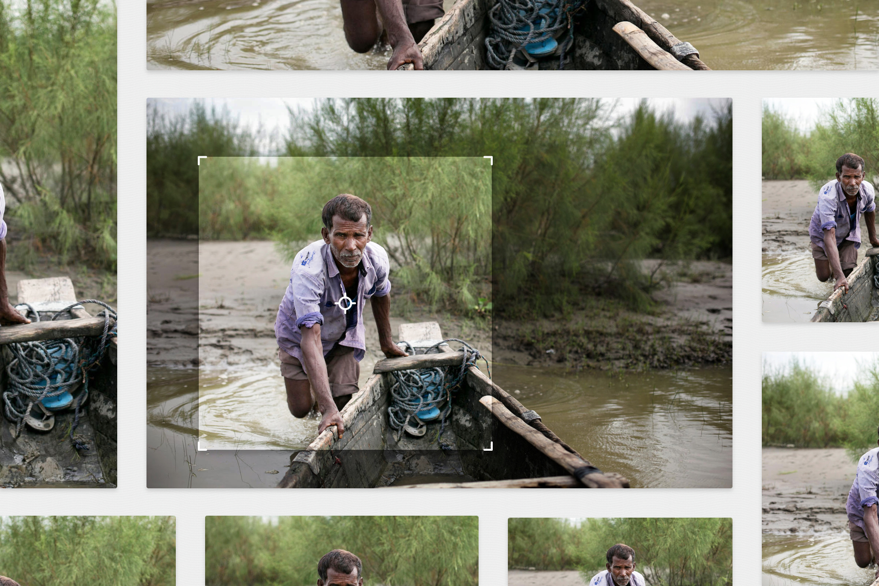 World Wildlife Fund - WorldWildlife.org | Viget