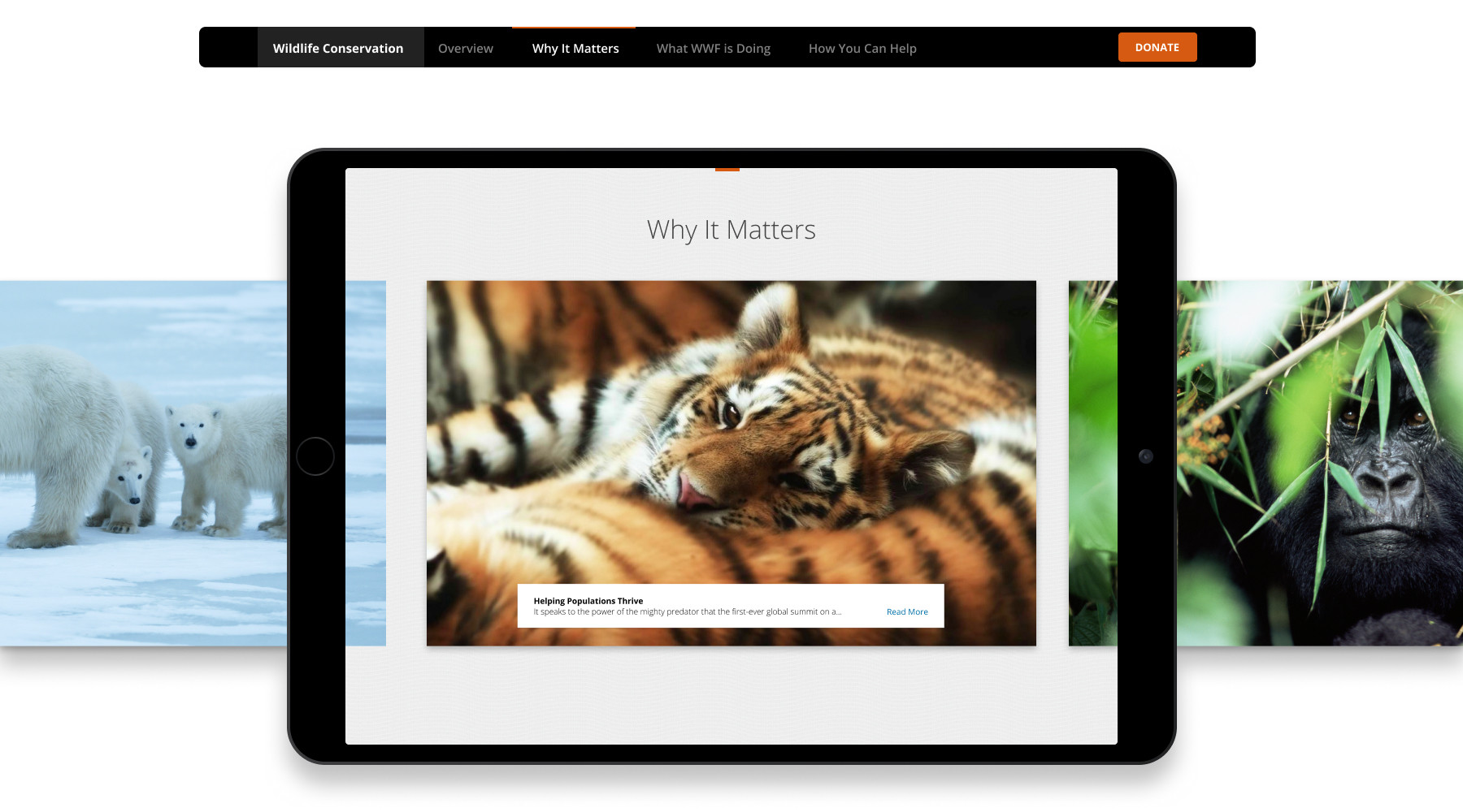 World Wildlife Fund - WorldWildlife.org | Viget