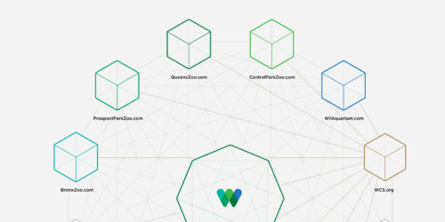 Wildlife Conservation Society - WCS.org | Viget